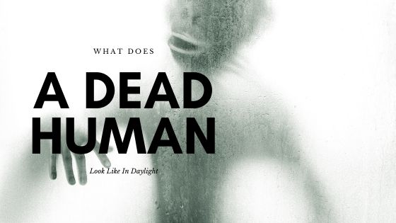 What does a Dead Human Look Like in Daylight? – OTHER SIDE PSYCHIC
